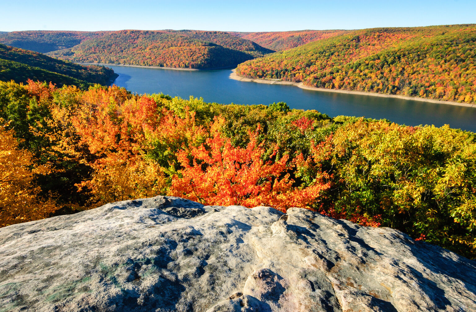 52 of the Most Colorful Forests in the World | Color Meanings
