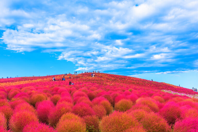 53 of the Most Colorful Landscapes in the World | Color Meanings