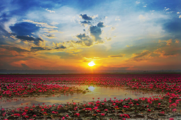 53 of the Most Colorful Landscapes in the World | Color Meanings