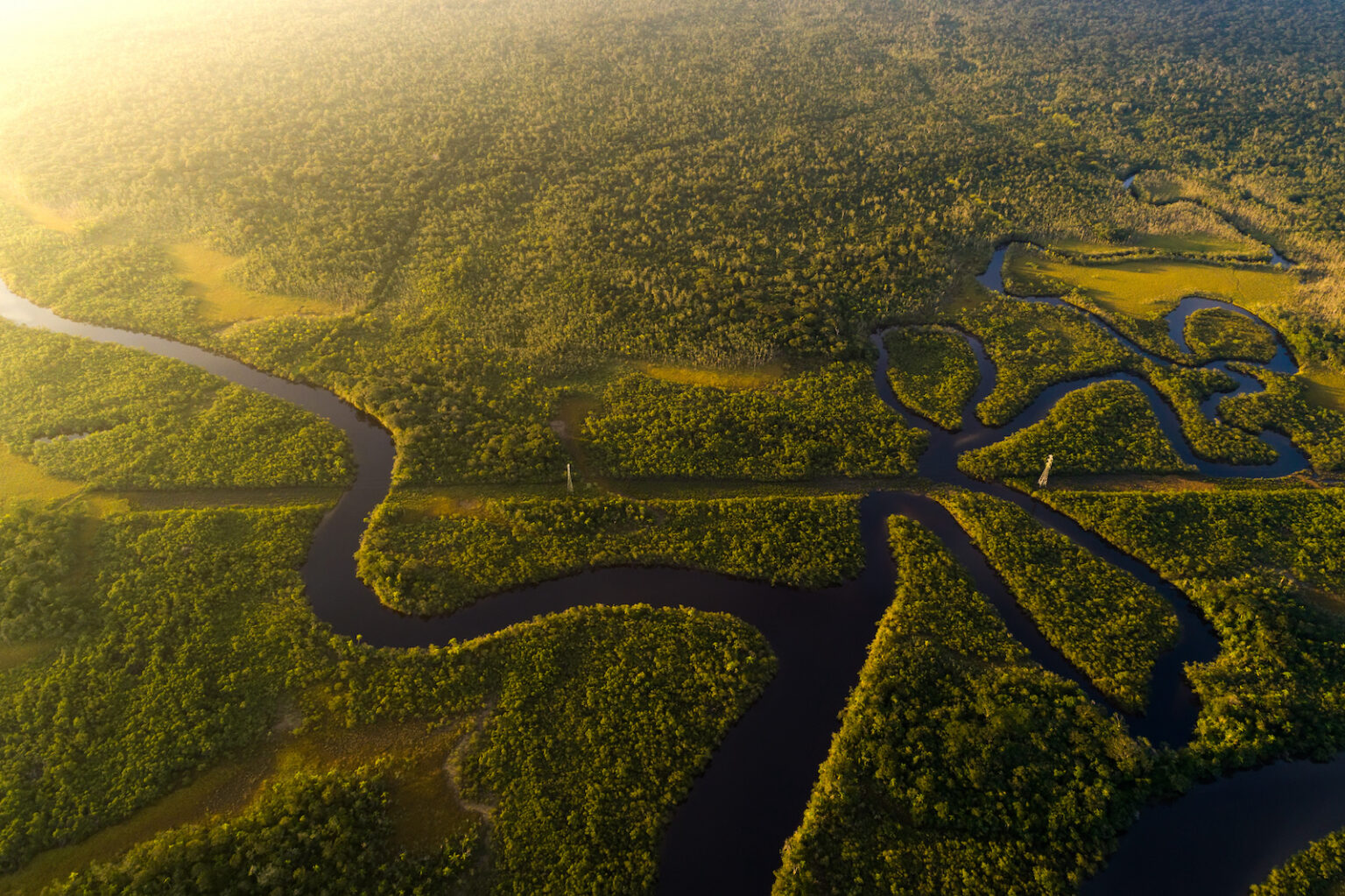 52 of the Most Colorful Forests in the World | Color Meanings