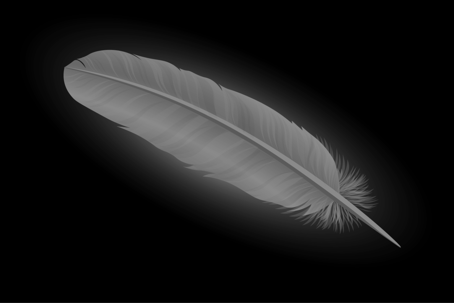 Black Feather Meaning And Symbolism Color Meanings