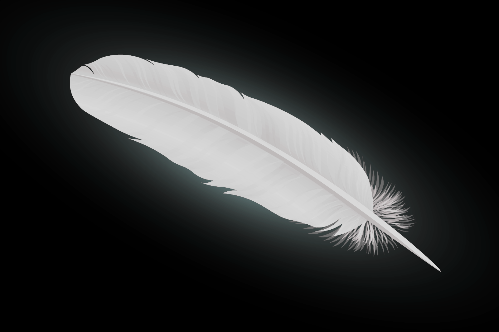 White Feather Png White Feather Png
