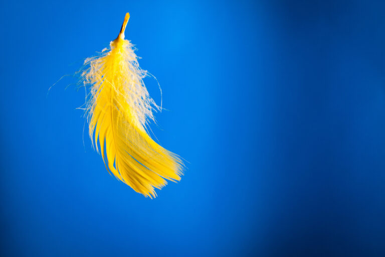 Yellow Feather Meaning and Symbolism | Color Meanings