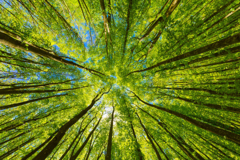 16 Best Healing Colors for Your Body and Mind | Color Meanings