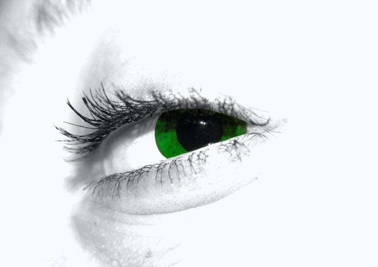 Green Personality: What Your Favorite Color Says About You | Color Meanings