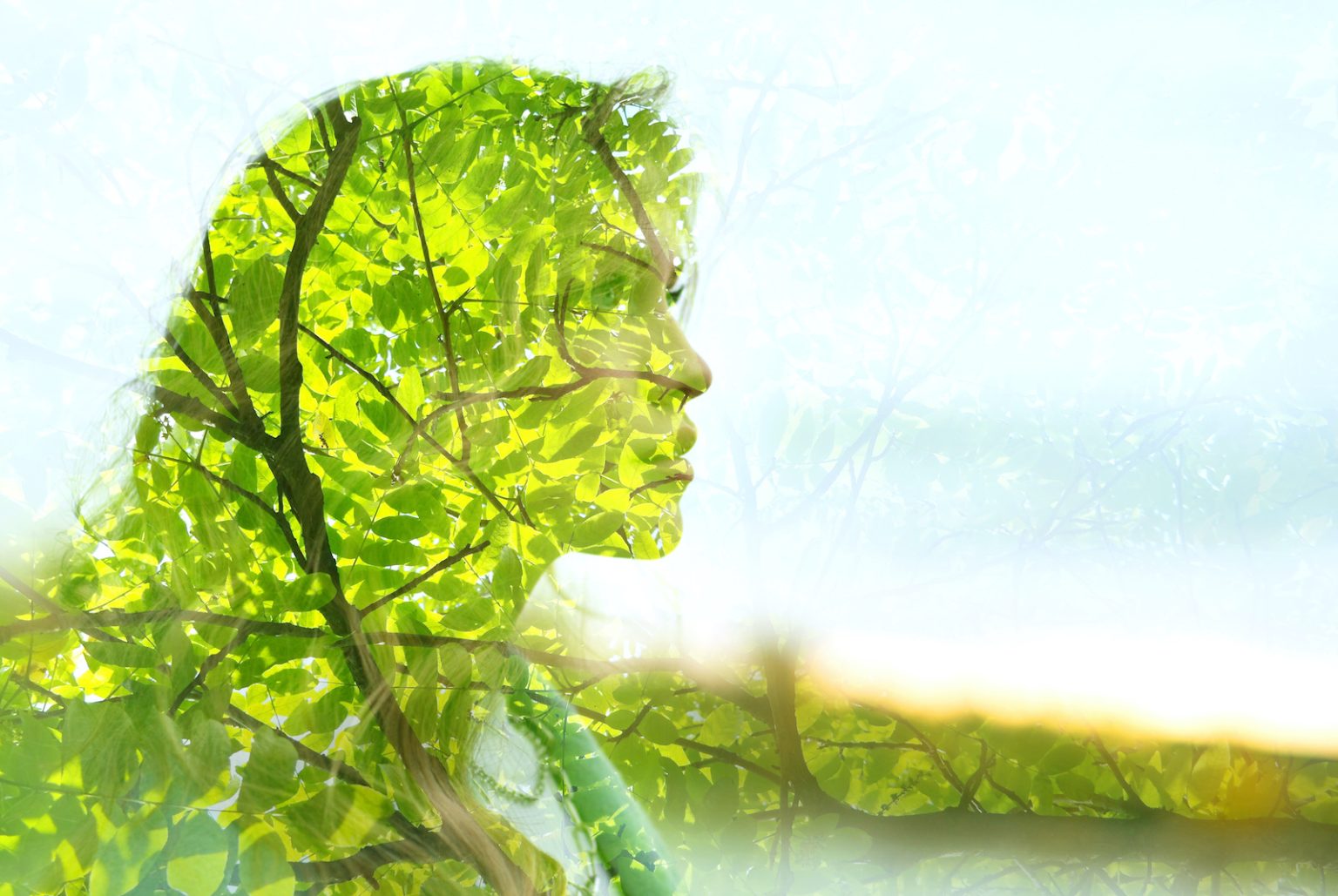Green Personality: What Your Favorite Color Says About You | Color Meanings