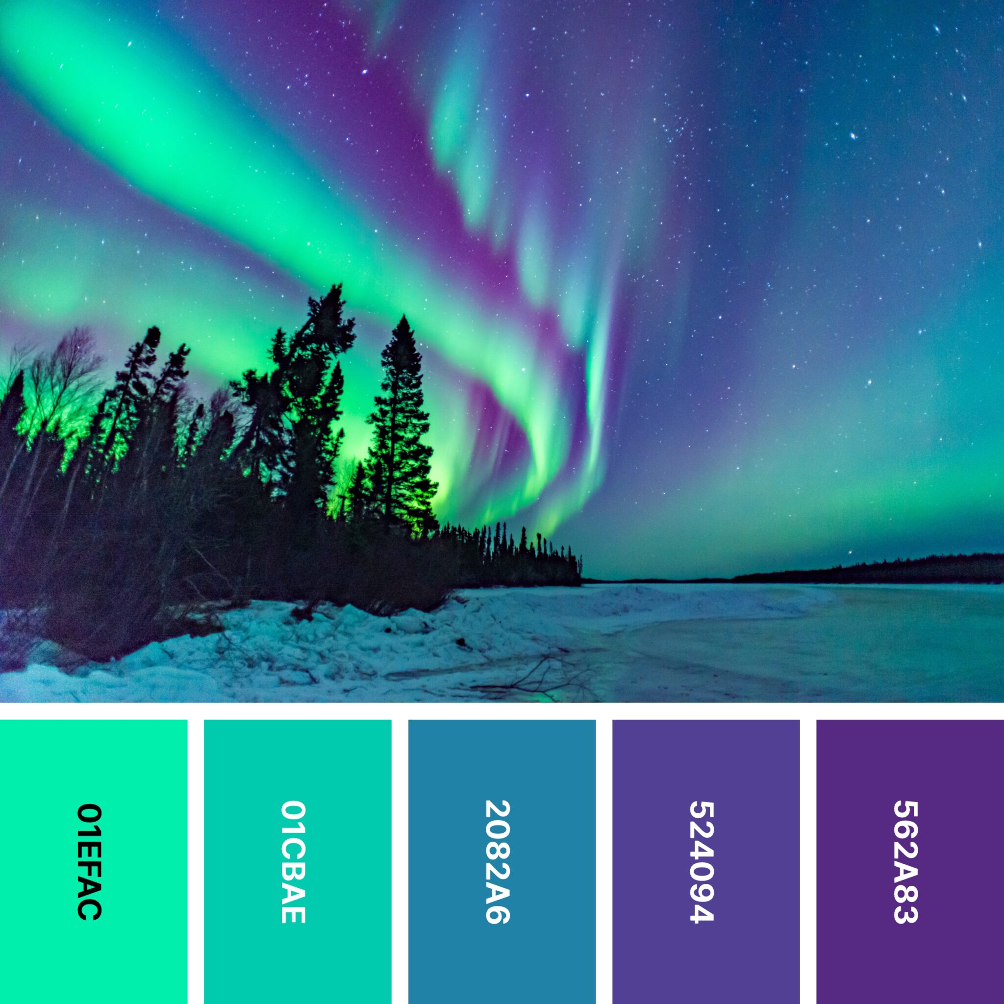 What Is A Cool Color Palette At Jett Obyrne Blog
