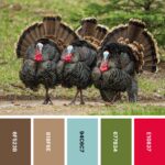 30 Thanksgiving Color Palettes for Rustic Designs | Color Meanings