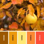 30 Warm Color Palettes for Cozy Designs | Color Meanings