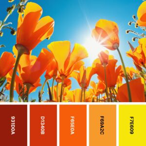 30 Warm Color Palettes for Cozy Designs | Color Meanings