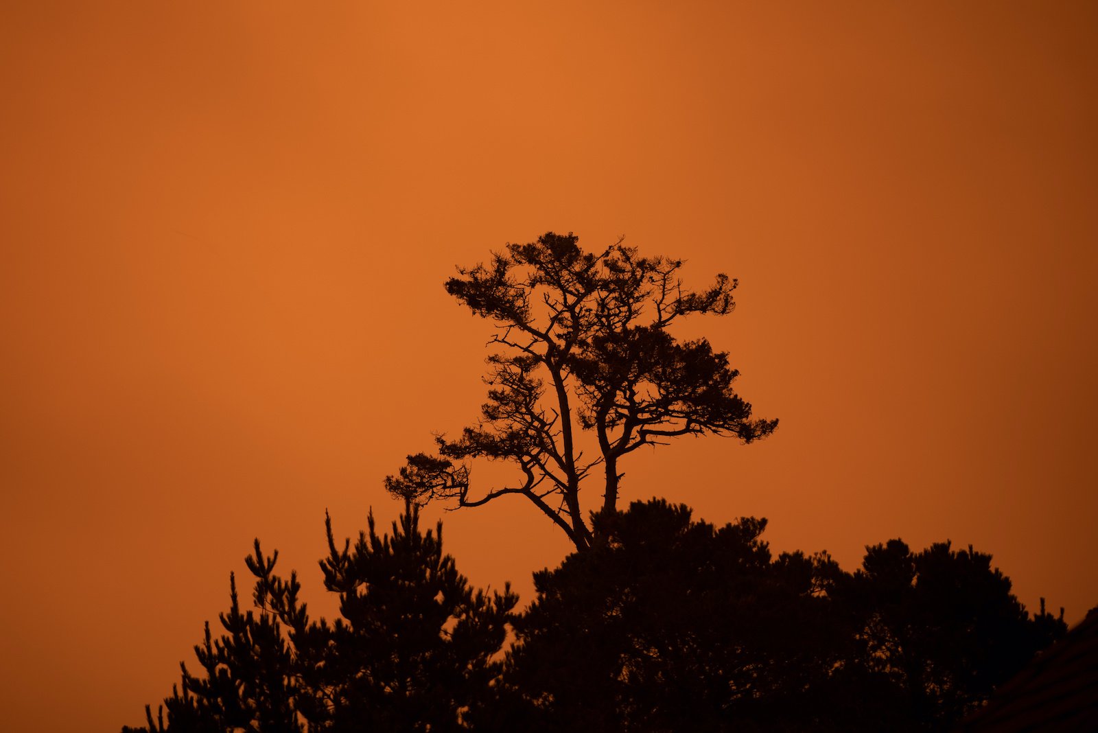 Why Is the Sky Orange? The Science Behind Orange Skies | Color Meanings