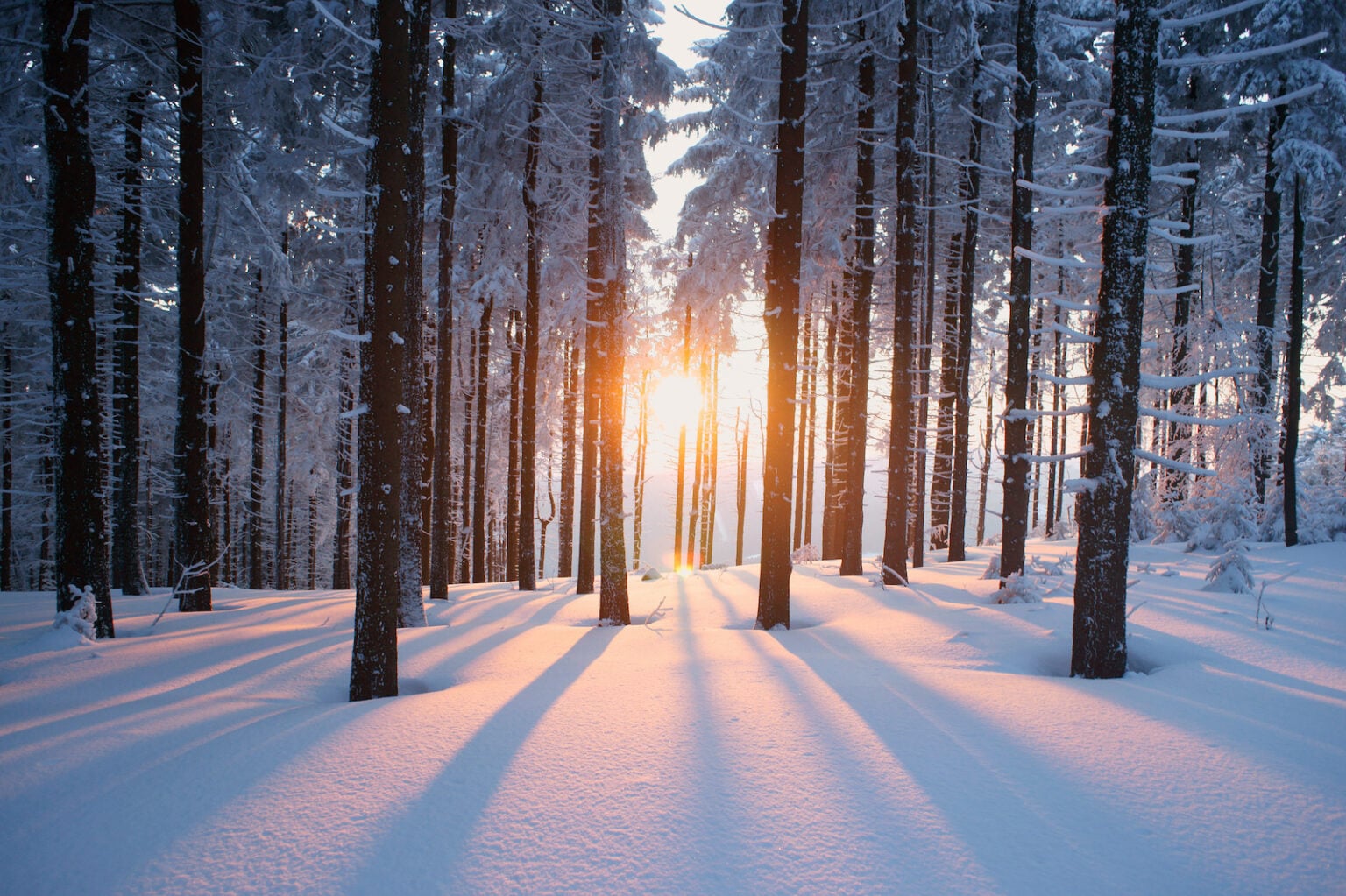 Why Is the Sky White? The Science Behind White Skies | Color Meanings