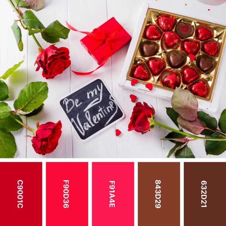 30 Valentine’s Day Color Palettes for Romantic Designs | Color Meanings