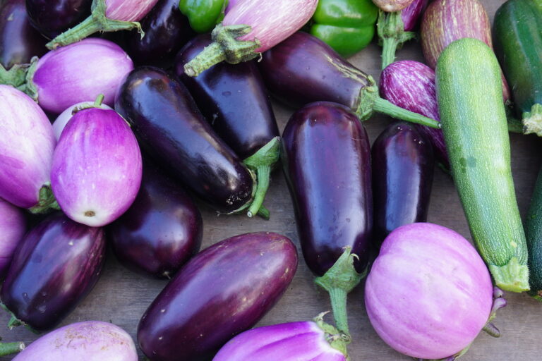 Celebrating the Earthy Richness of Fall Colors | Color Meanings