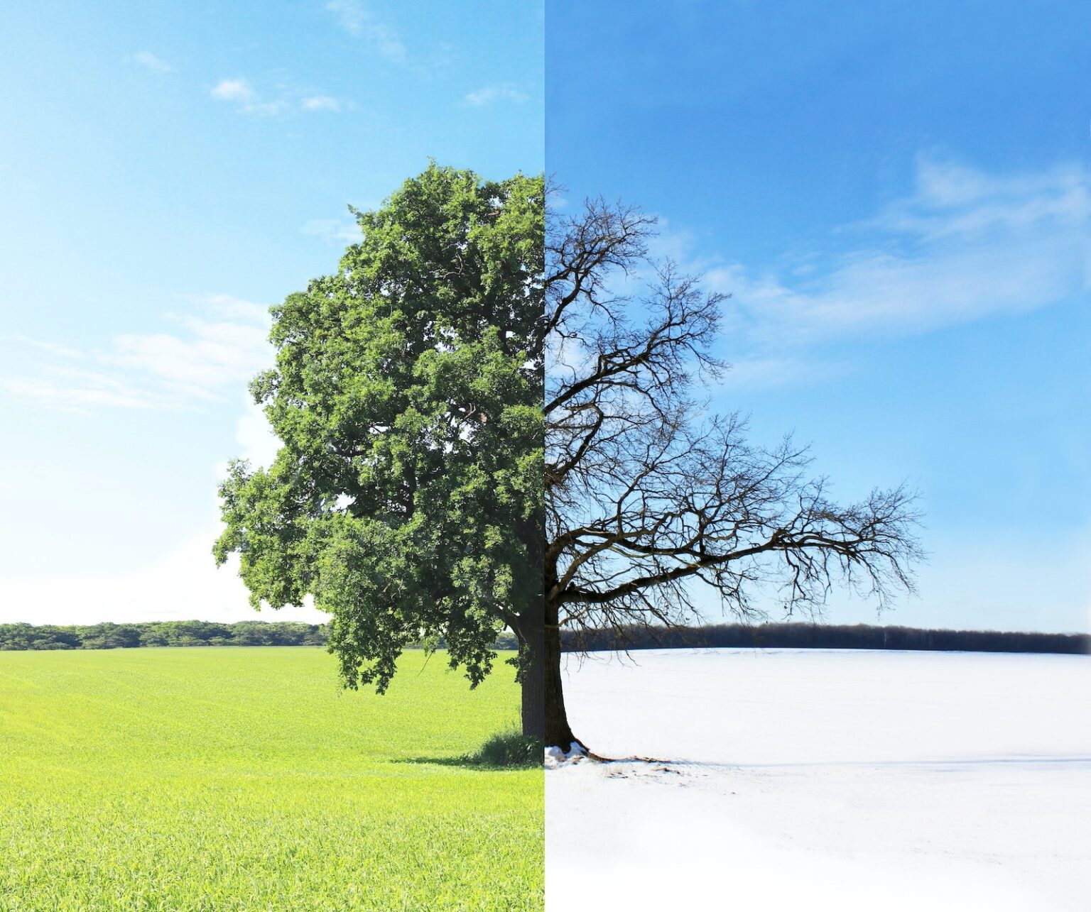 Understanding Seasonal Colors: How Do They Affect Us? | Color Meanings