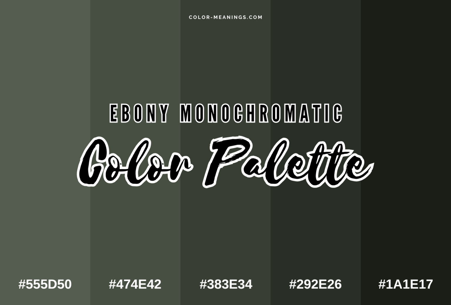40 Monochromatic Color Palettes for Minimalistic Designs | Color Meanings