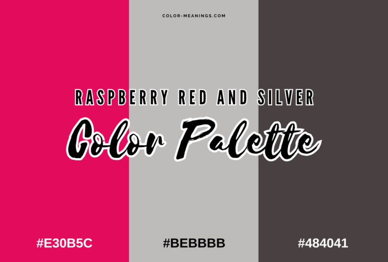 31 Colors That Go With Silver (Color Palettes) | Color Meanings