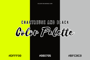 44 Colors That Go With Black (Color Palettes) | Color Meanings
