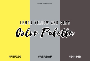 45 Colors That Go With Gray (Color Palettes) | Color Meanings
