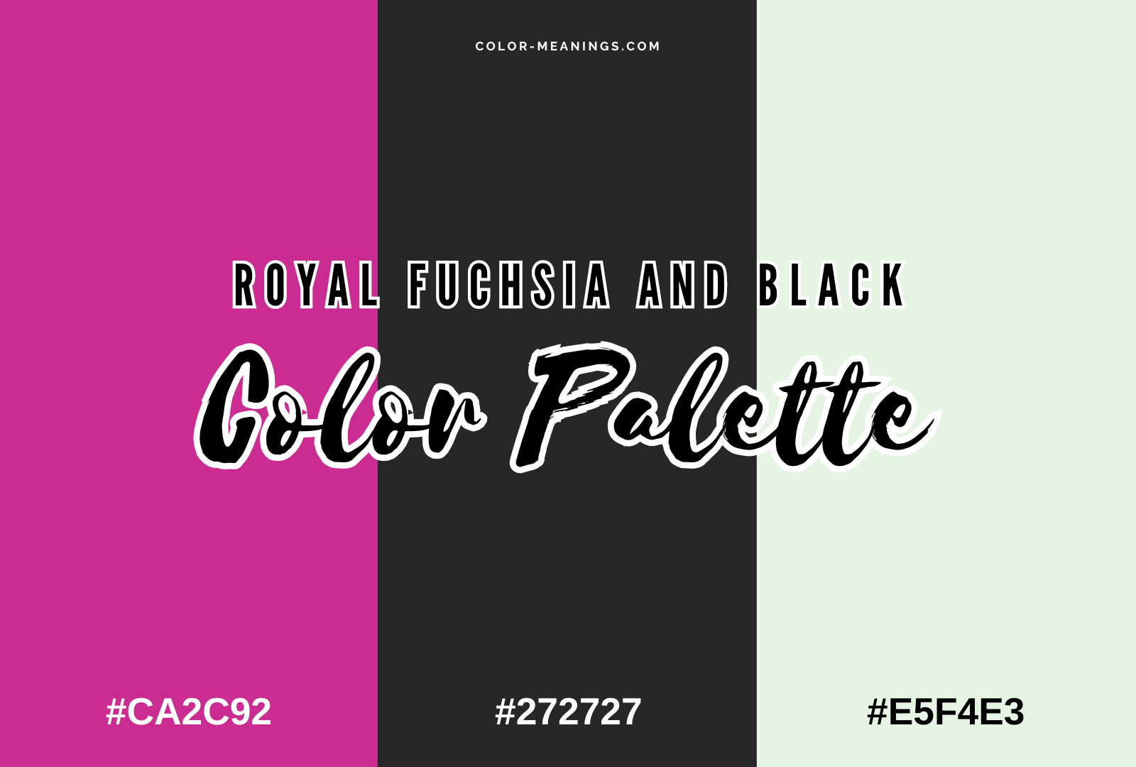 44 Colors That Go With Black (Color Palettes) | Color Meanings