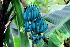 These Strange Colors Discovered in Nature Will Leave You Speechless ...