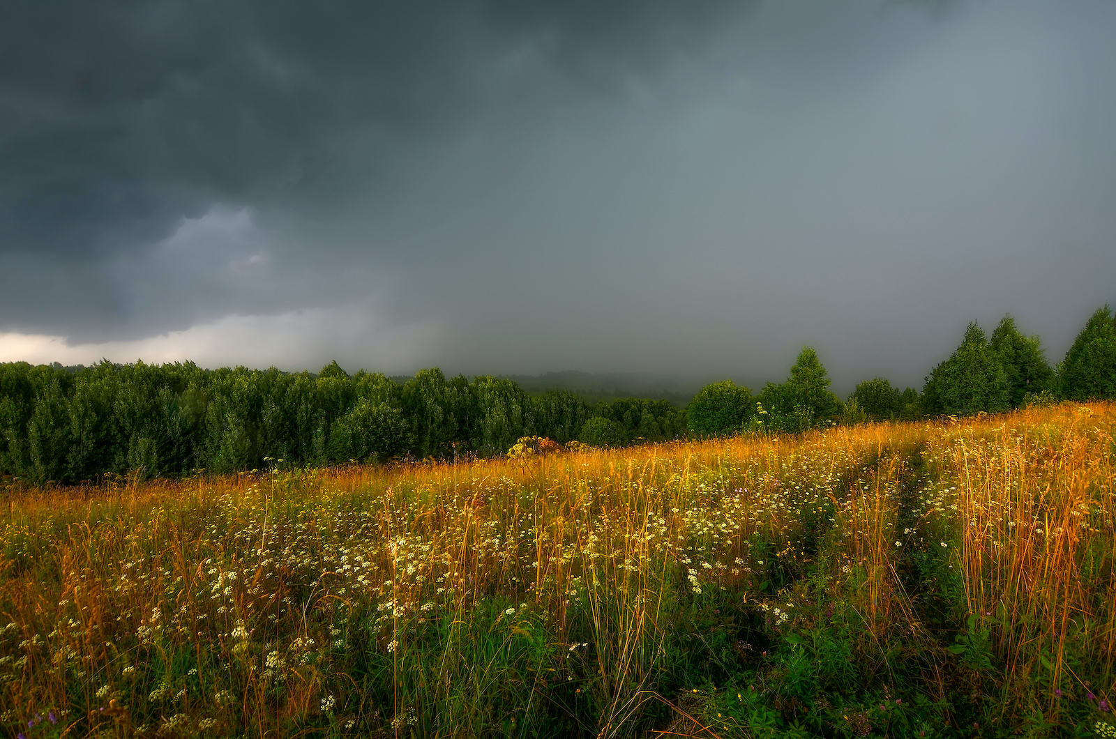 Gray Color Symbolism in Literature (Poetry and Prose) | Color Meanings