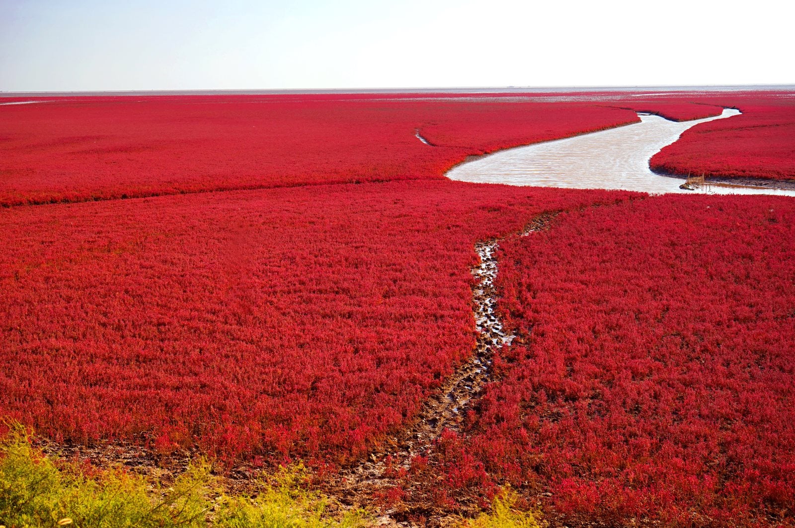 You Won’t Believe These Gorgeous Colors Were Found at the Beach | Color ...