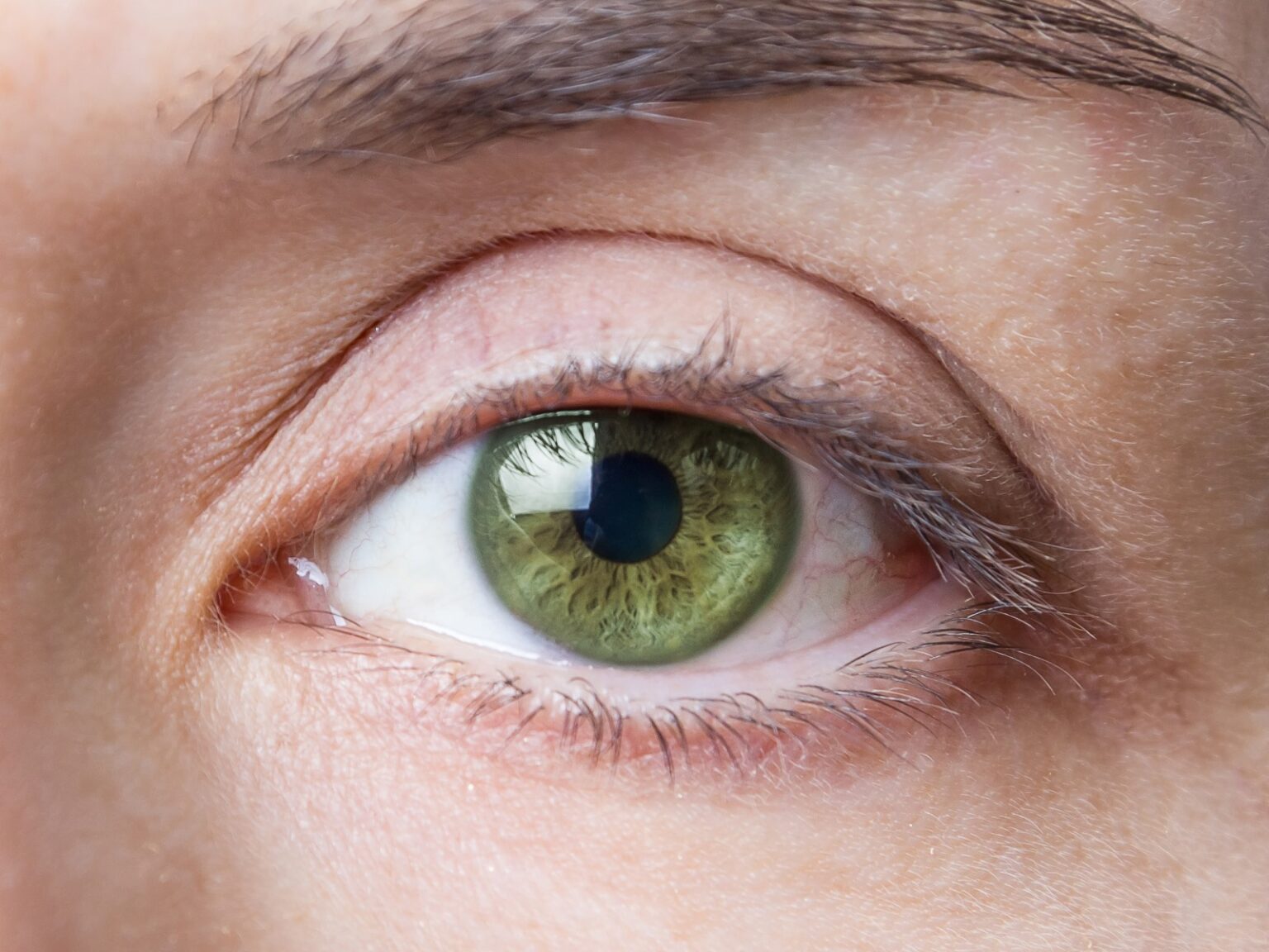 11 Amazing Facts About the Color Green That Will Change How You See It ...