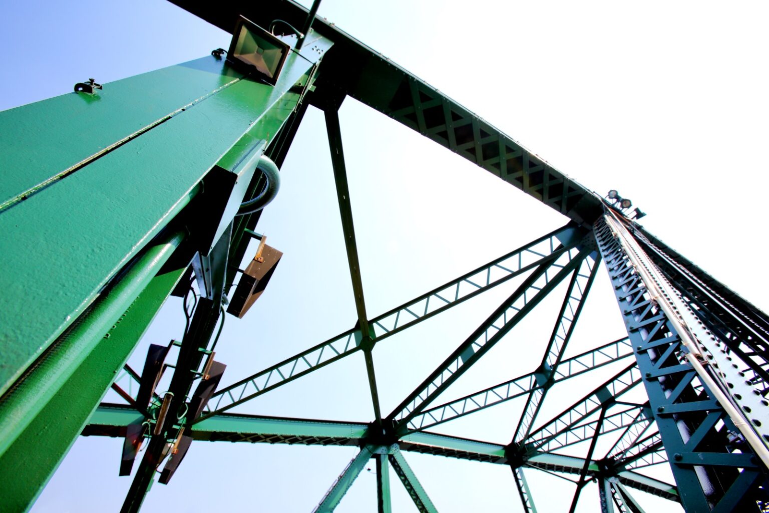 11 Amazing Facts About the Color Green That Will Change How You See It ...