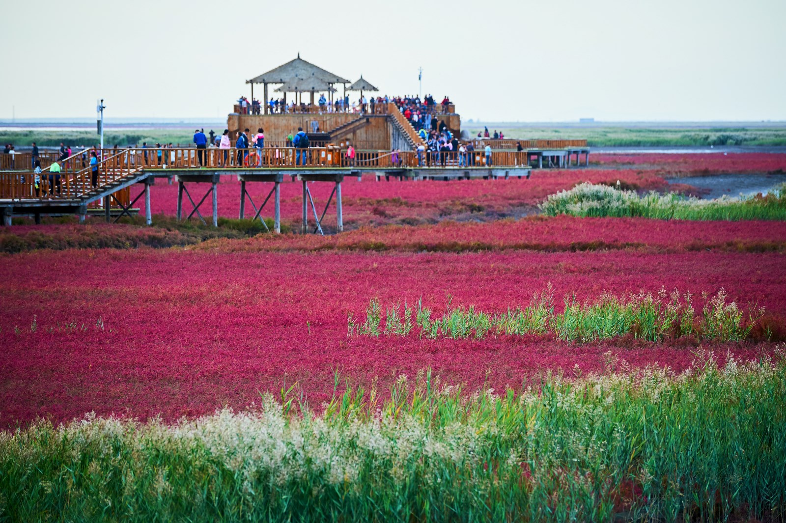 You Won’t Believe These Gorgeous Colors Were Found at the Beach | Color ...