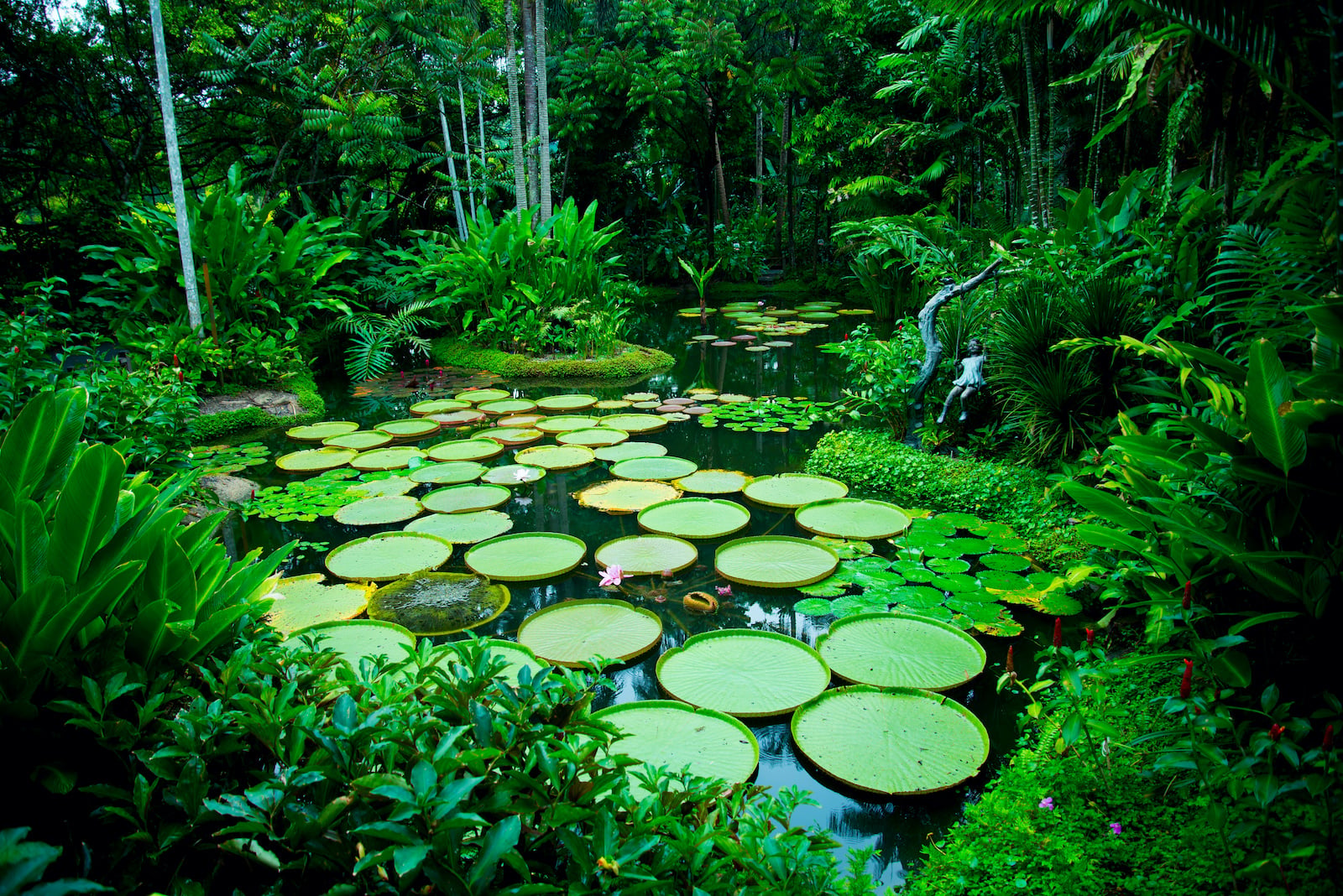 Discover the 50+ Green Colors Hidden in the Amazon Rainforest | Color ...