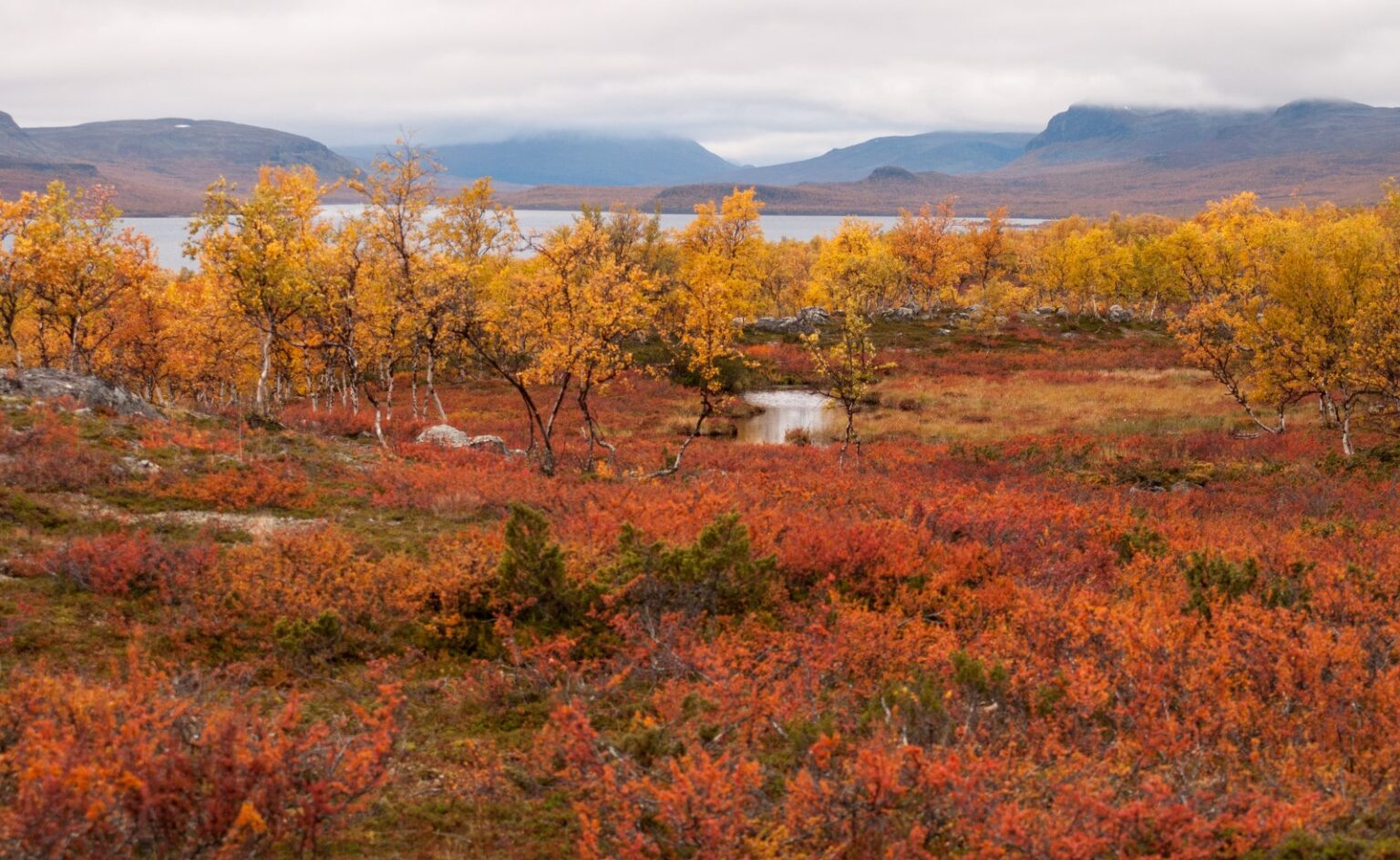 16 Breathtaking Destinations to Experience Stunning Fall Foliage ...