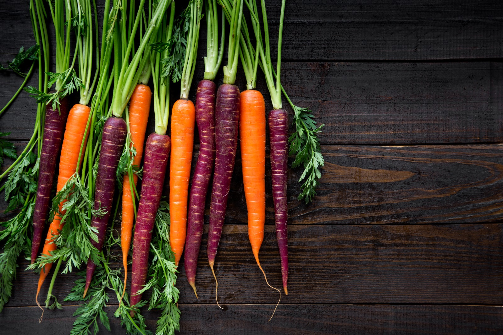 12 Weirdly Wonderful Facts About the Color Orange (It’s More Than a ...