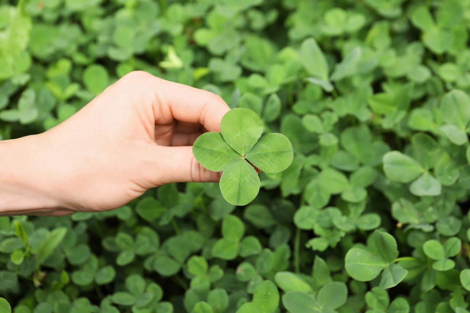 11 Color Superstitions: Beliefs About Luck, Love, and Legends | Color ...