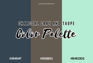 30 Colors That Go With Taupe (Color Palettes) | Color Meanings