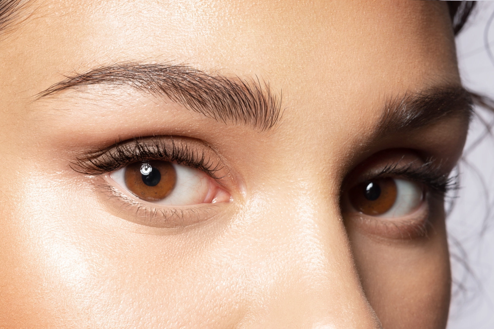 11 Fascinating Facts About the Color Brown (It’s More Exciting Than You ...