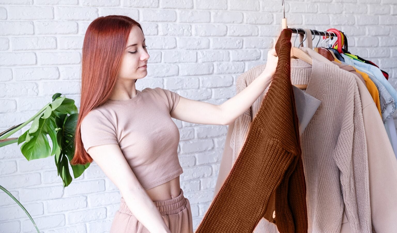 11 Fascinating Facts About the Color Brown (It’s More Exciting Than You ...