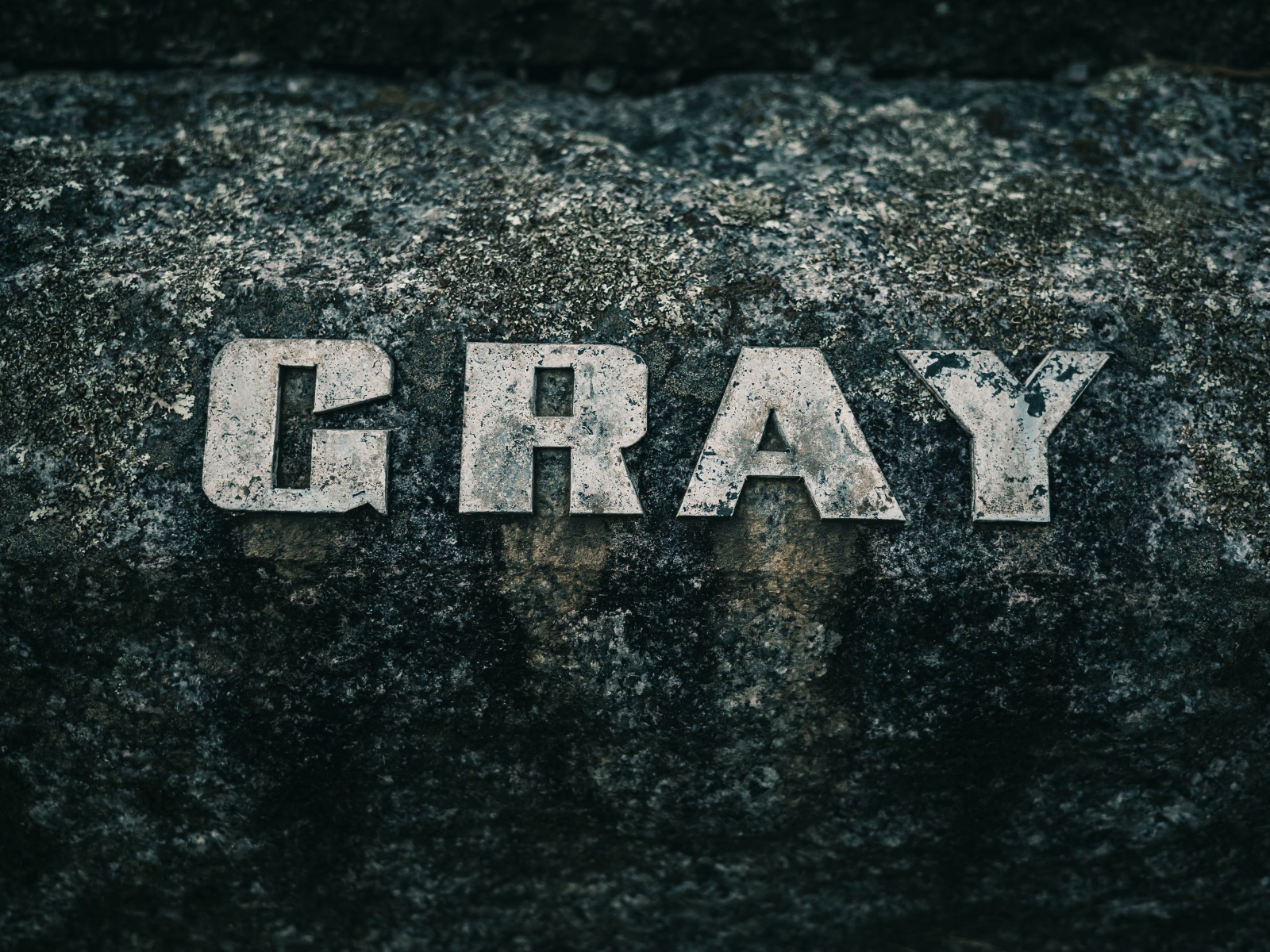 11 Unexpected Facts About the Color Gray That Are Anything but Simple ...