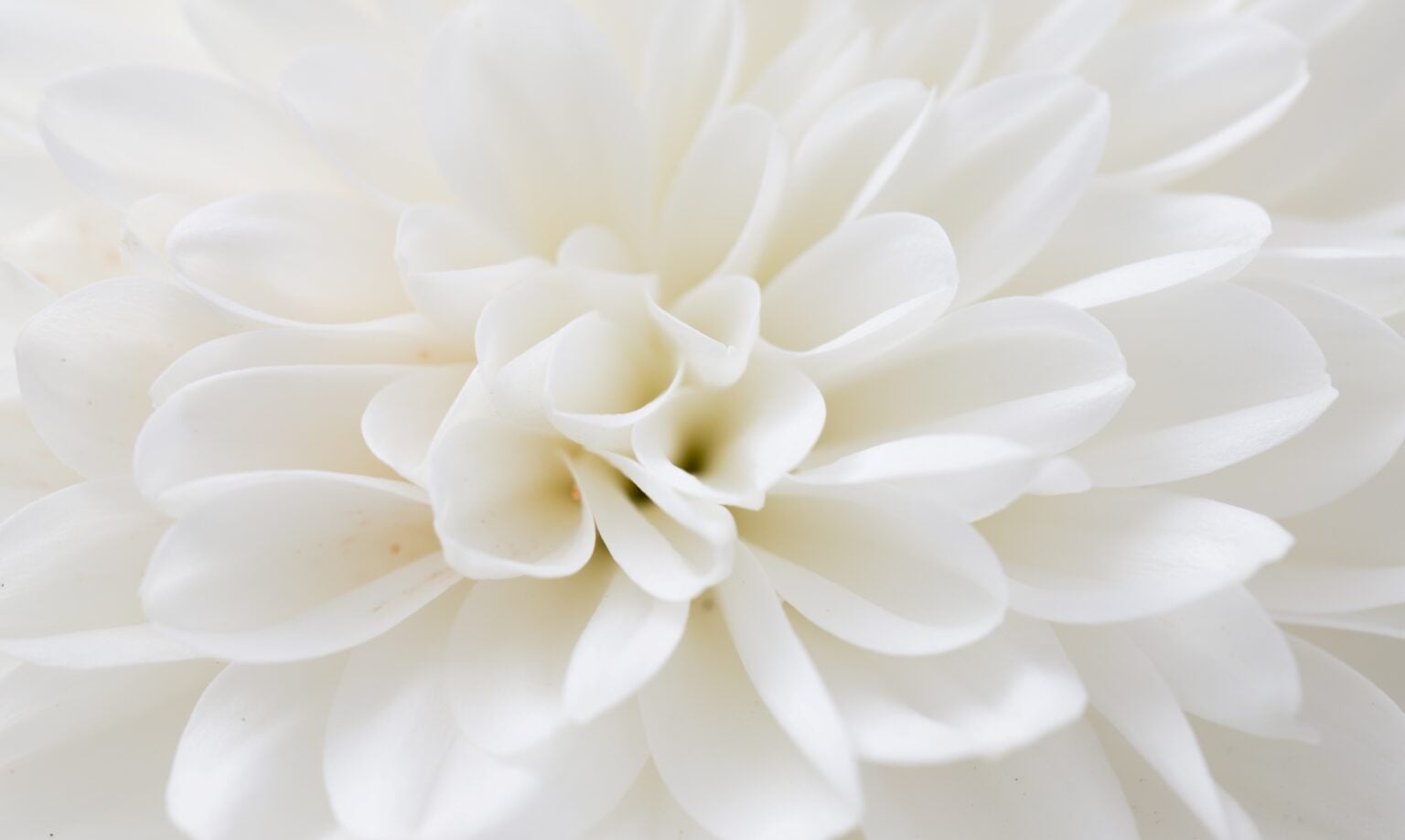 12 Surprising Facts About the Color White (More Than Meets the Eye ...
