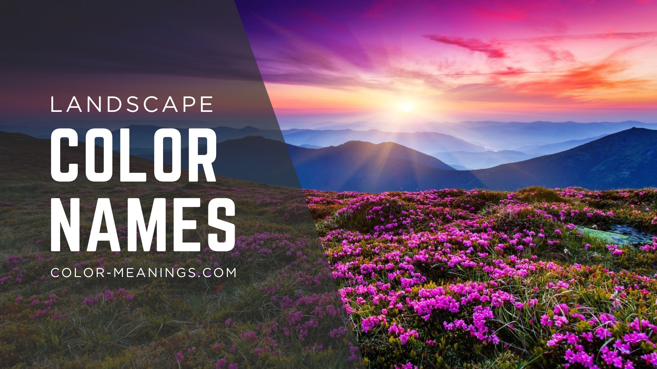 18 Landscape-Inspired Color Names: Forests, Meadows, Snow, and Sea ...