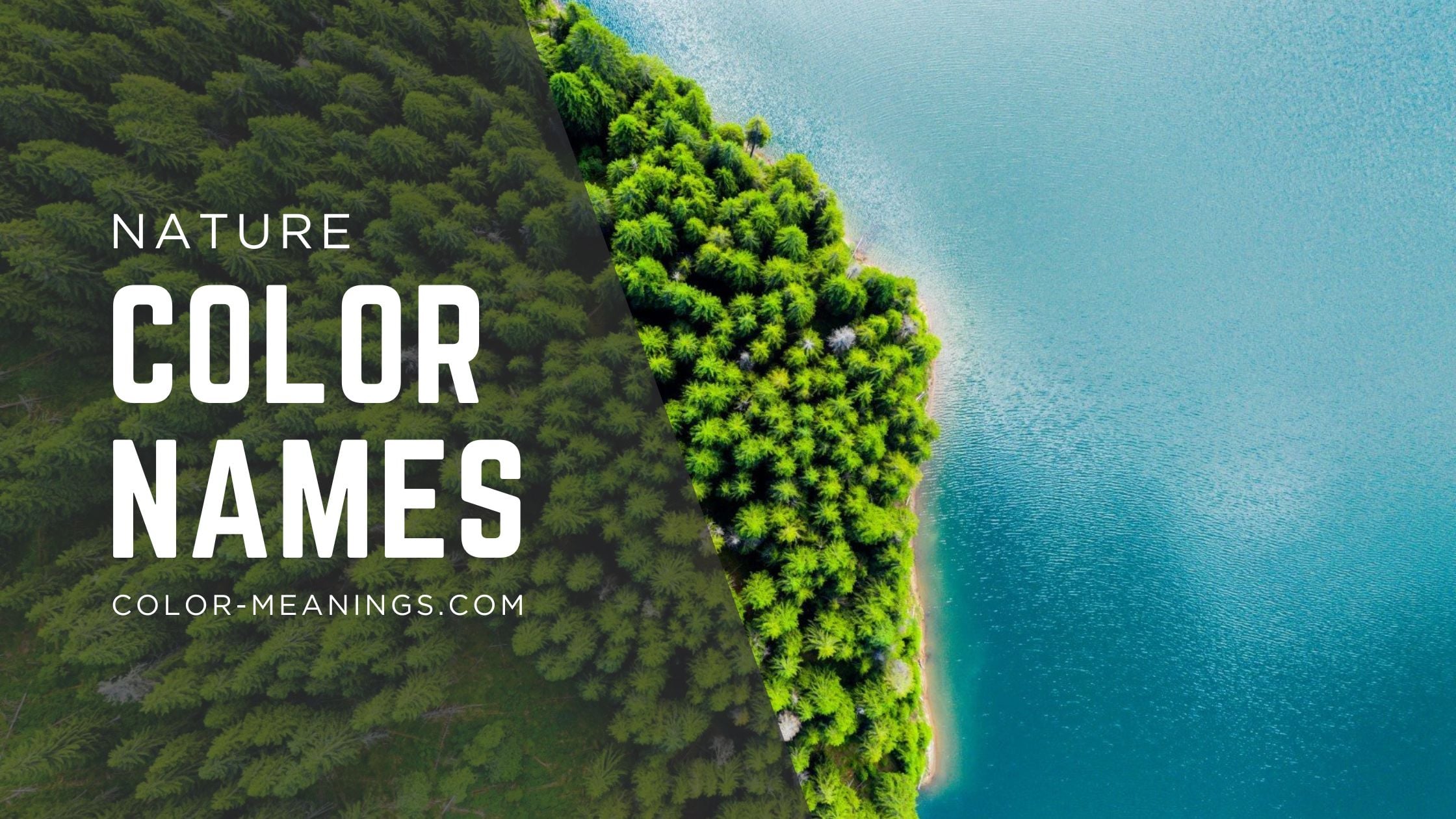 25 Nature-Inspired Color Names: From Forest Green to Ocean Blue | Color ...