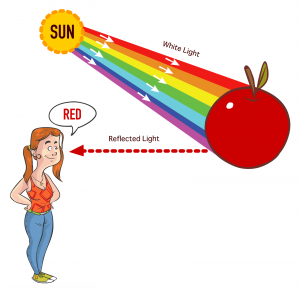 Do Colors Have Energy? The Connection Between Color and Vibration ...