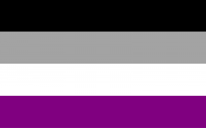 30 LGBTQ+ Pride Flags With Color Meanings | Color Meanings