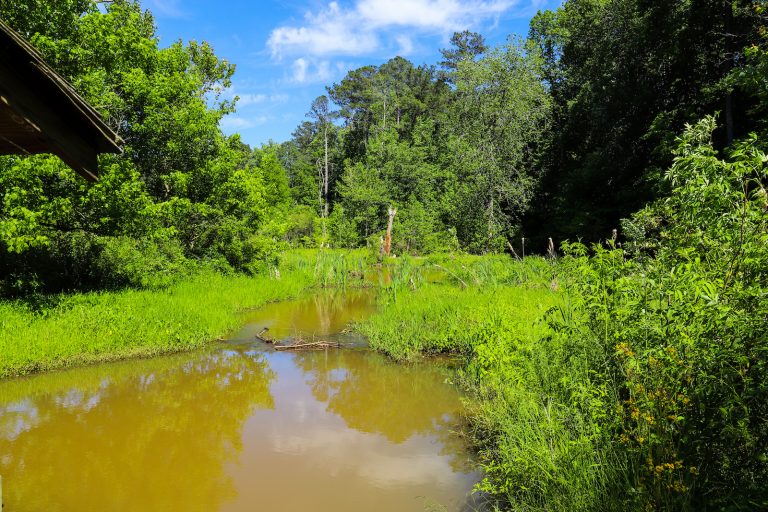 200+ Things That Are Brown in Nature (Full List and Photos) | Color ...