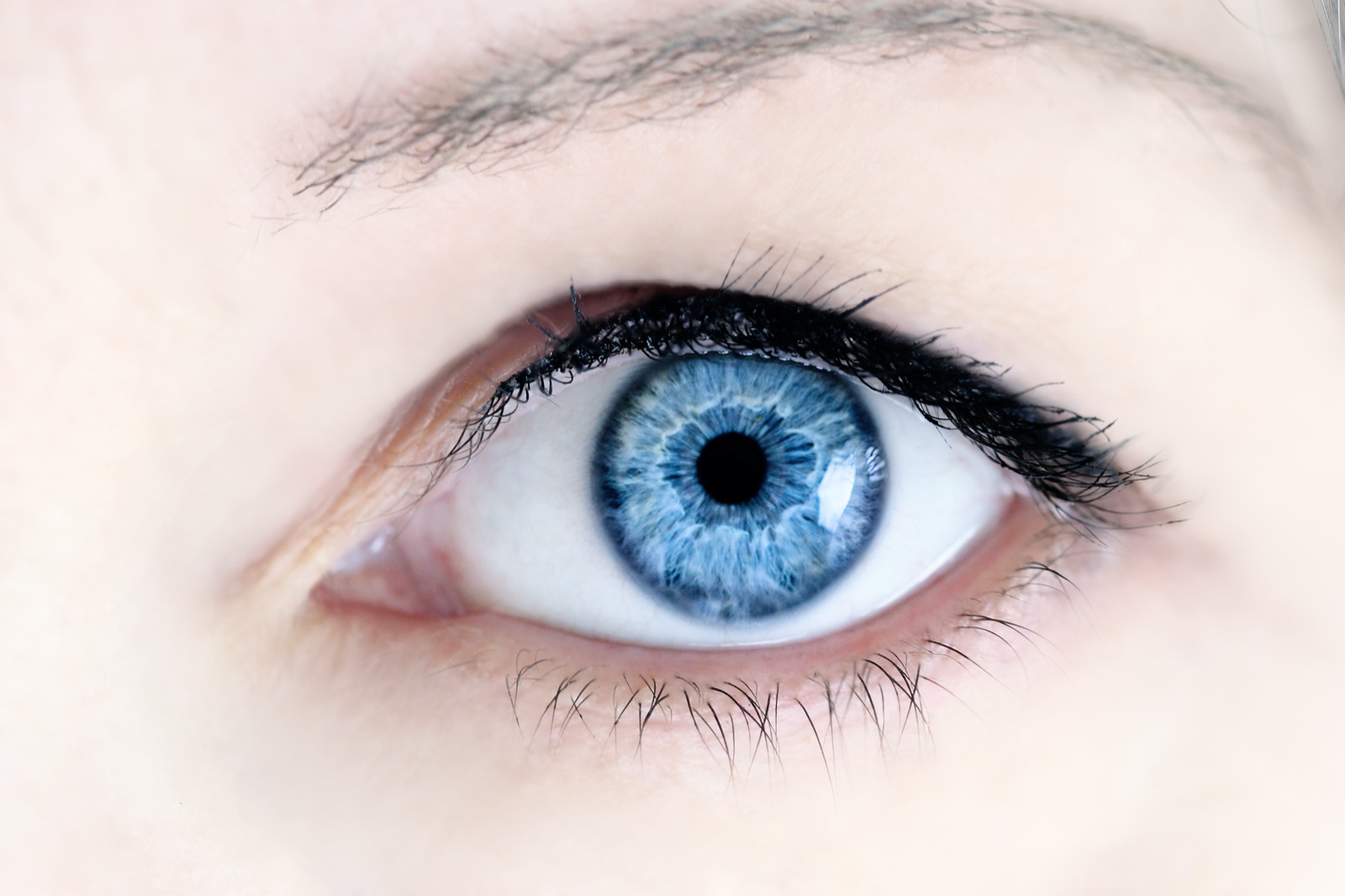 140 Things That Are Blue In Nature Color Meanings 140 Things That Are Blue In Nature Color Meanings
