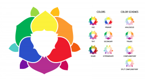 Color Theory Basics: The Color Wheel and Finding Complementary Colors ...