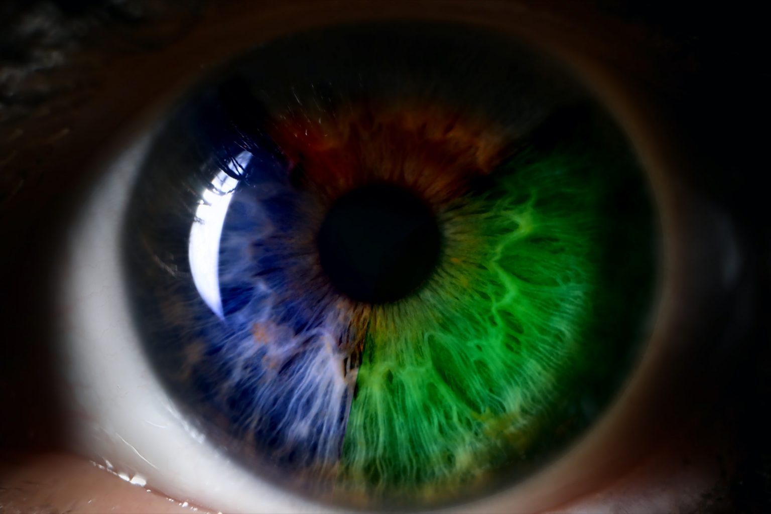 The Science of Color: Do Women See More Colors Than Men? | Color Meanings