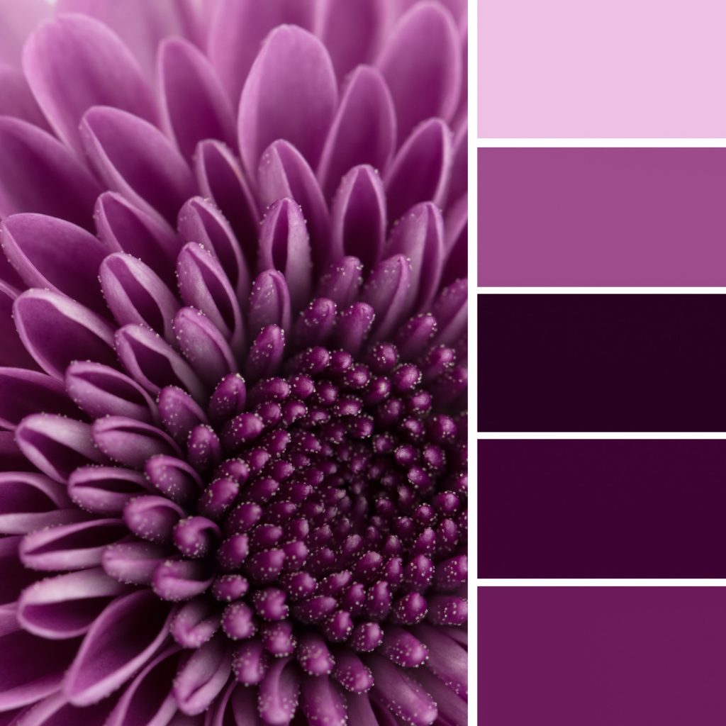 What Are Monochromatic Color Schemes Decorating And Designing With One 