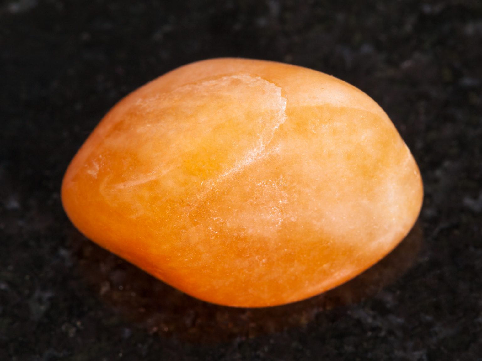 104 Things That Are Orange in Nature (Photos)