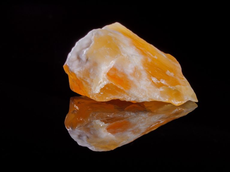 104 Things That Are Orange in Nature (Photos)